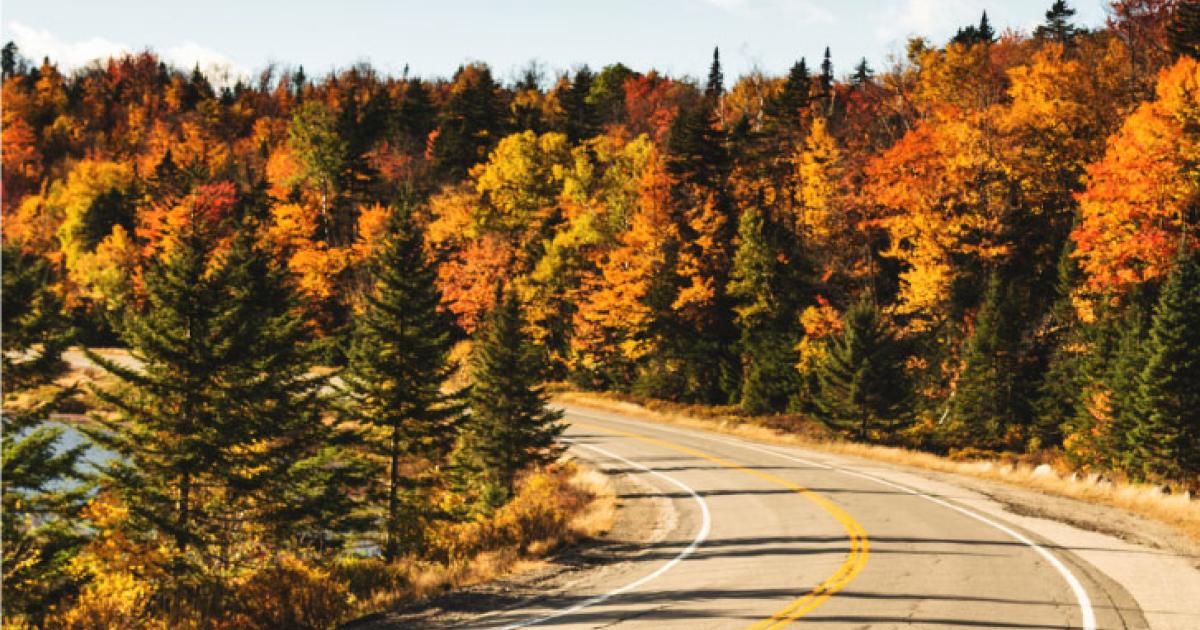 MMG Insurance delivers real-time connectivity with TransactNOW